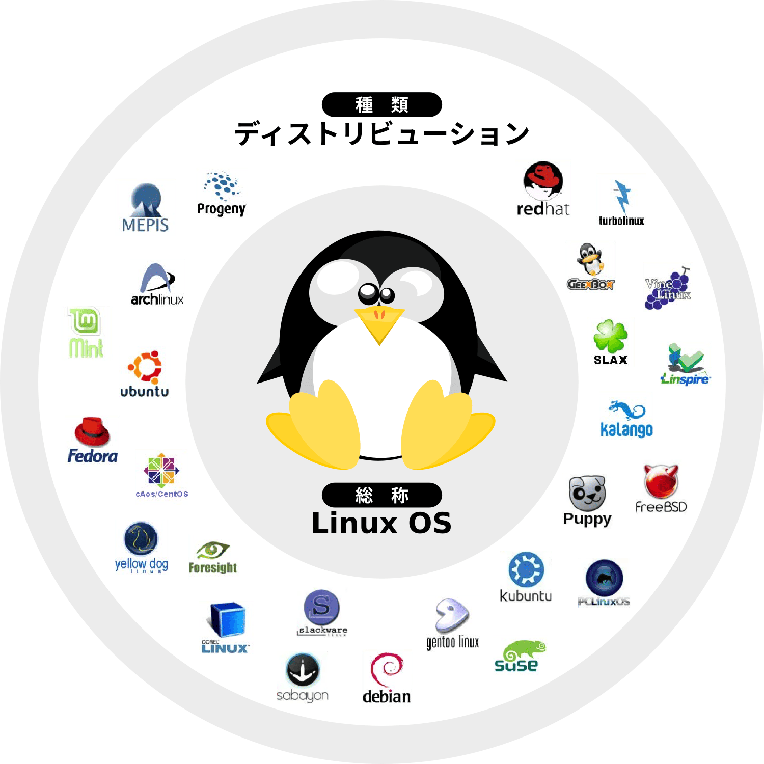 LinuxOSの種類 - RayLink Inc. | 公式ウェブストア